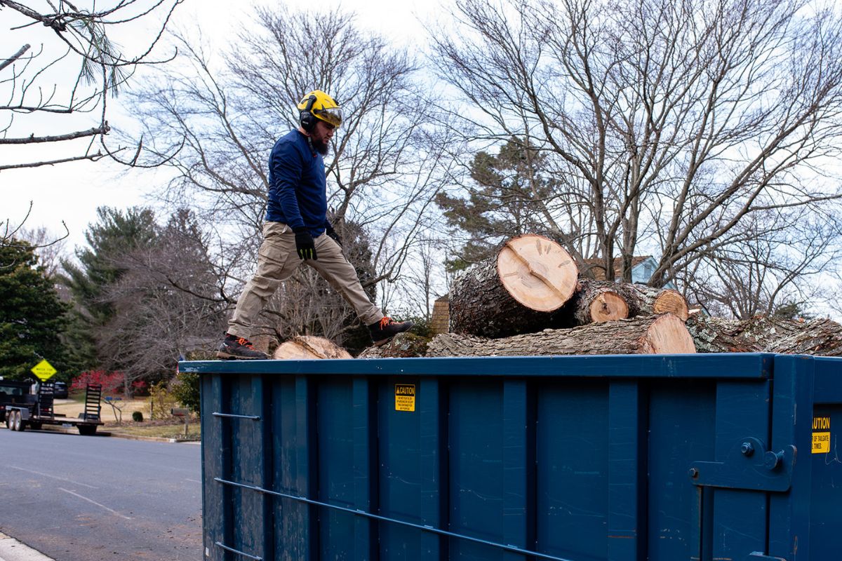Falls Church, VA Tree Service | Removal, Pruning, Arborists | Riverbend ...