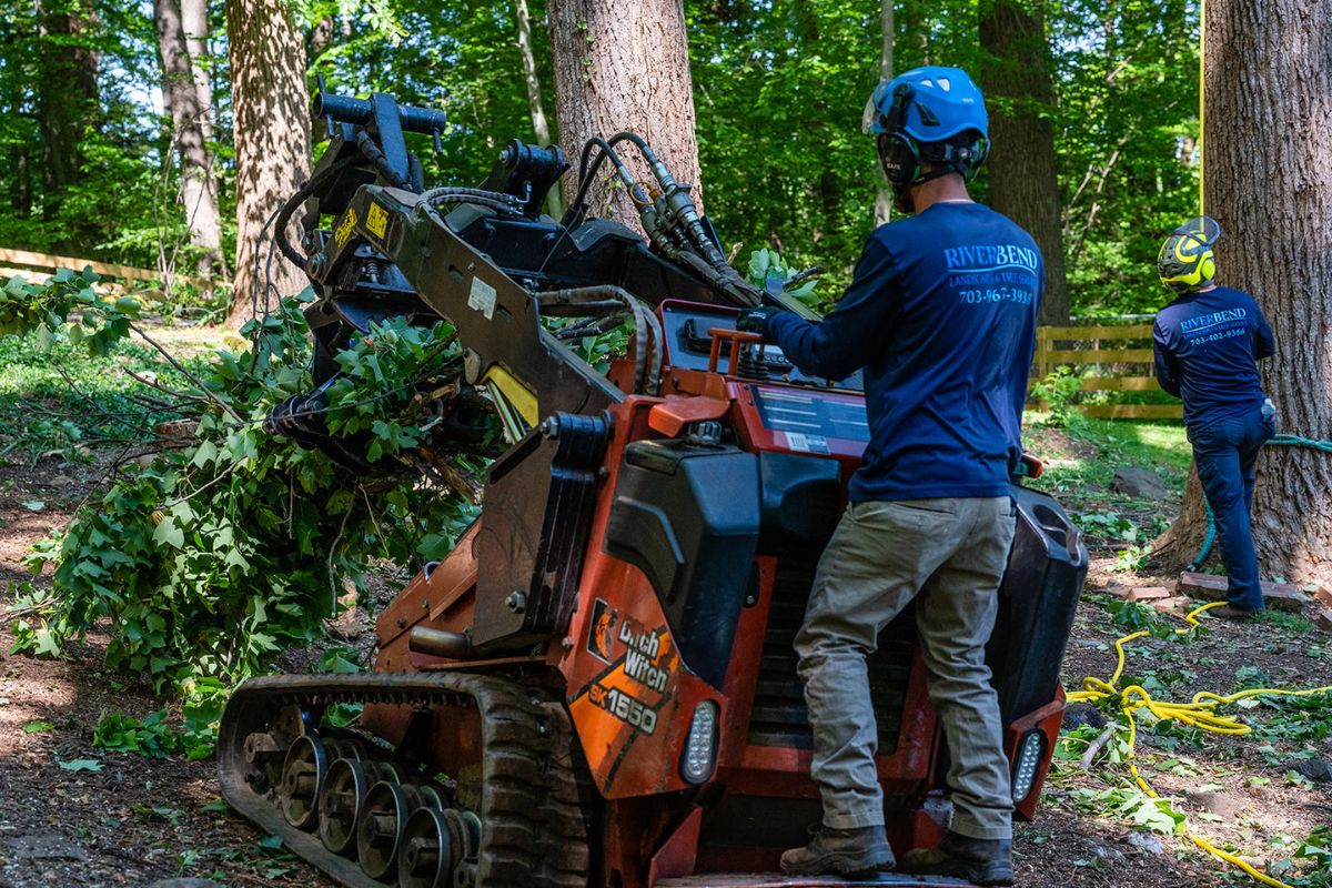 Falls Church, VA Tree Service | Removal, Pruning, Arborists | Riverbend ...