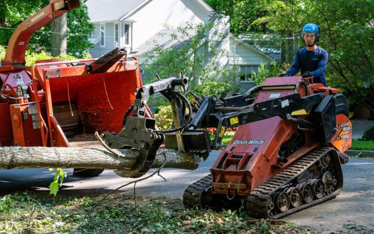 Fairfax, VA Tree Service | Removal, Pruning, Arborists | Riverbend Tree ...