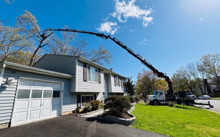 Why We Use a Crane for Tree Removal in Northern Virginia | Riverbend ...